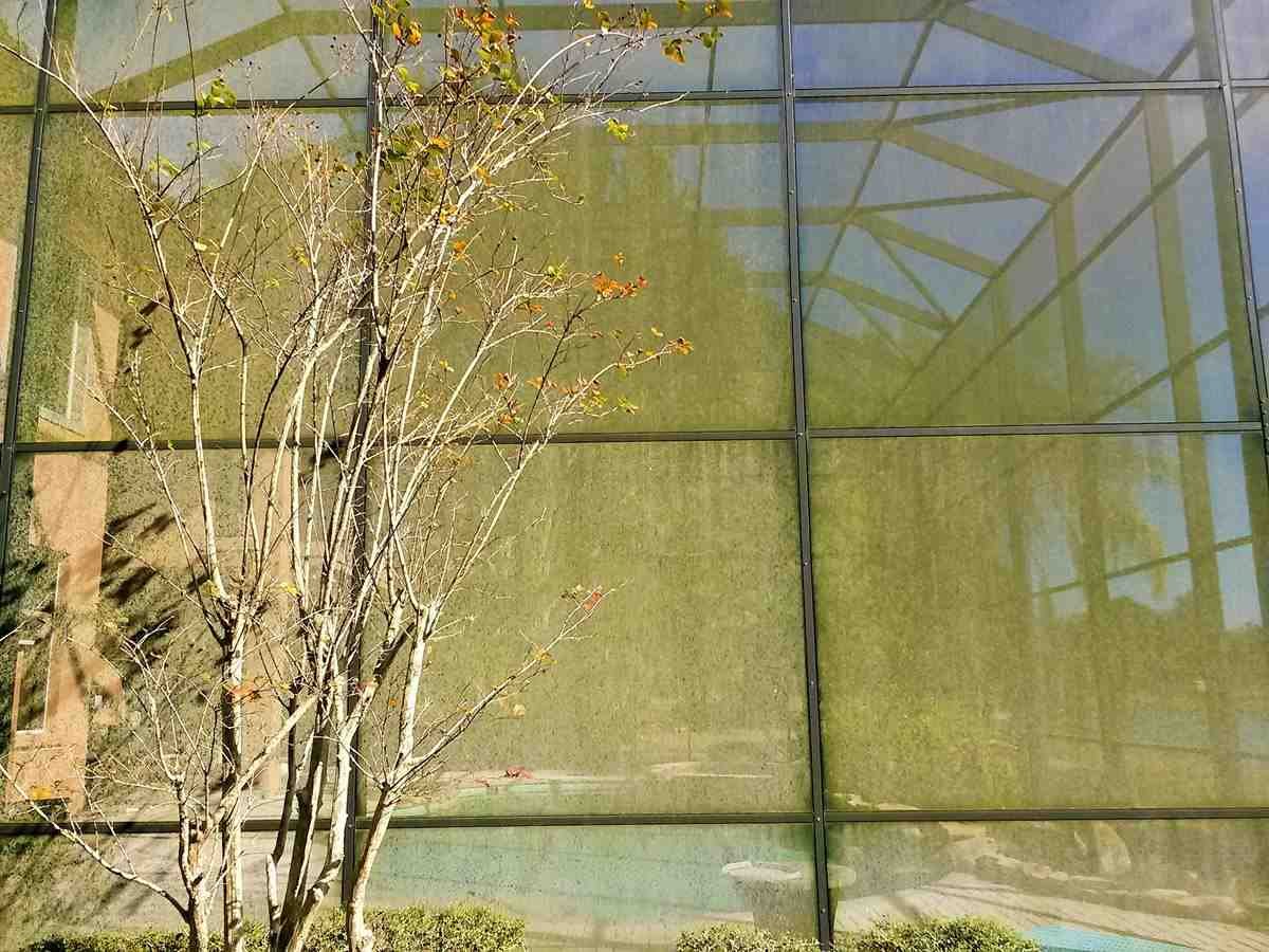 Pressure Washing Palm Harbor - Driveways Plus - Exterior Cleaning Pros